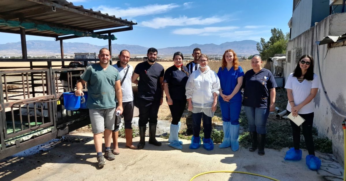 Landell Mills | Framework Contract Success for Landell Mills