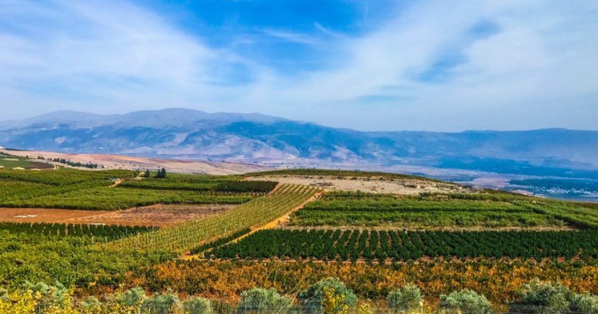 Landell Mills | Addressing agricultural pollution in the Litani River…