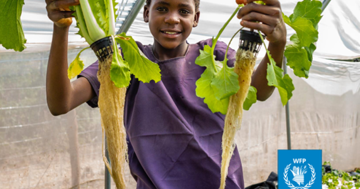 Landell Mills | World Food Programme publishes Evaluation of Zambia…